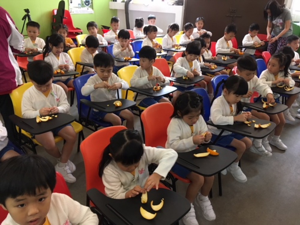 Students of PLK Yick Kwai Fong Kindergarten visited FFG Yau Tong ...
